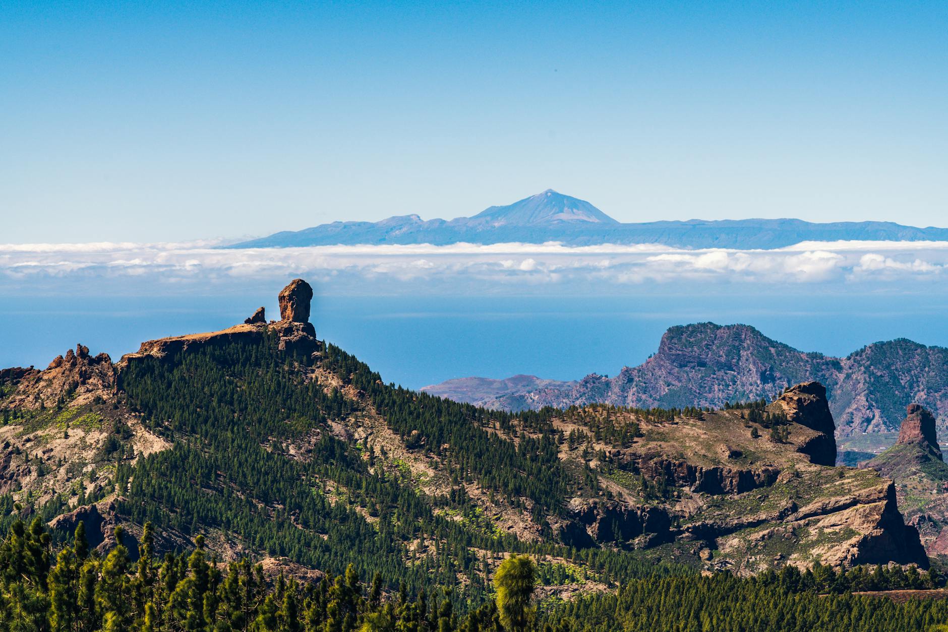 Aerial view of Roque Nublo surrounded by lush forests
