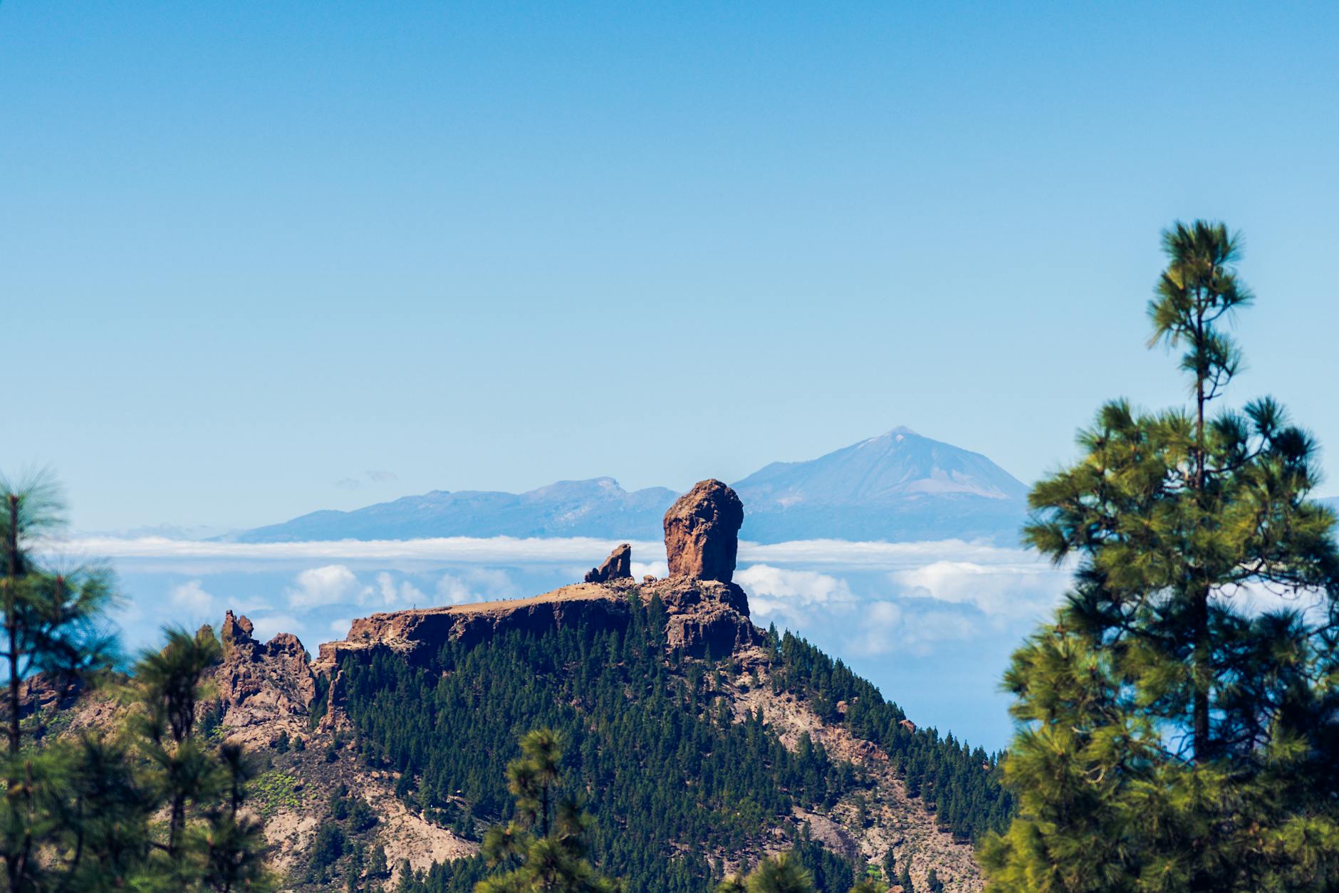 Roque Nublo surrounded by Canarian pine forests under blue sky