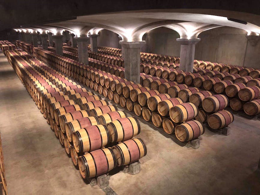 Rows of oak wine barrels in a traditional winery cellar