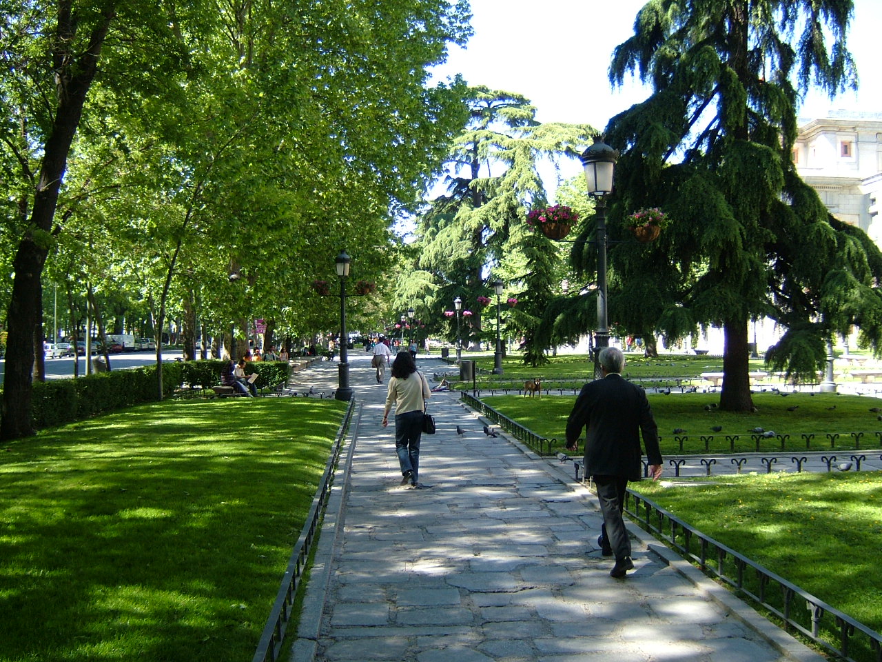 The tree-lined Paseo del Prado boulevard in Madrid