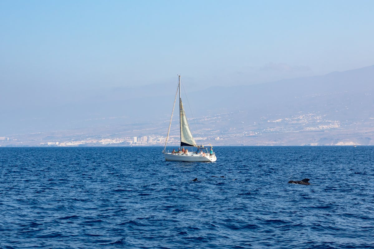 A white sailboat sailing across the Atlantic Ocean near Tenerife