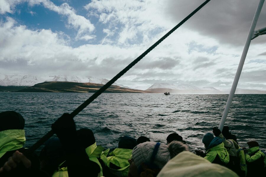 Scenic whale watching tour in Árskógssandur with views of Eyjafjörður fjord and snow-capped mountain