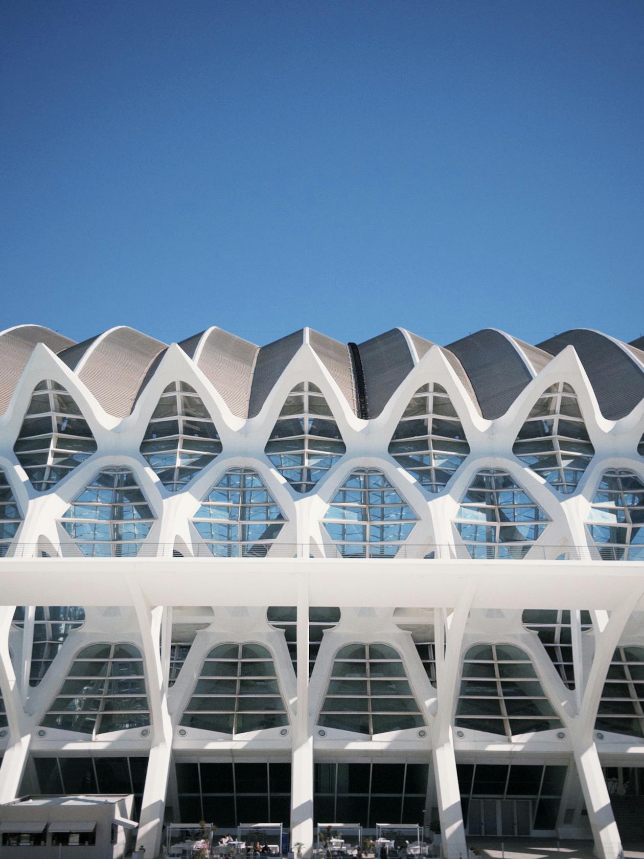 The Principe Felipe Science Museum in Valencia under a bright blue sky showing the full building facade