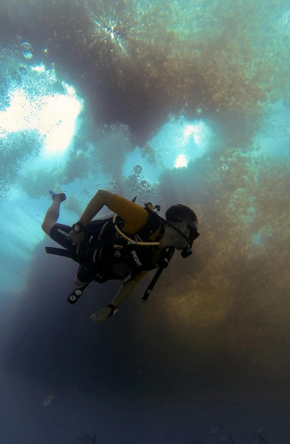 Scuba diver in full gear swimming through a vibrant underwater expanse