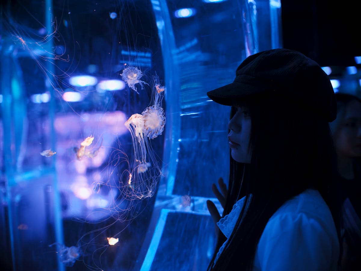 Visitor watching illuminated jellyfish at an aquarium
