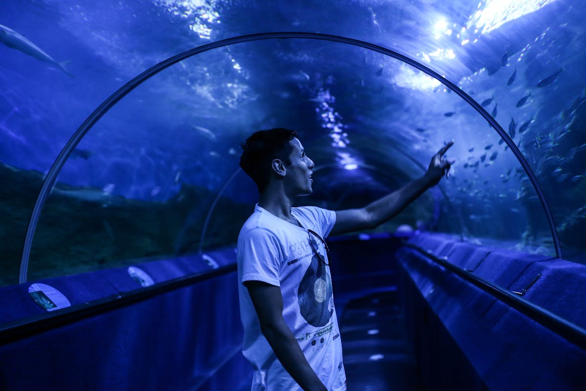 Visitor watching fish swim overhead in an underwater tunnel