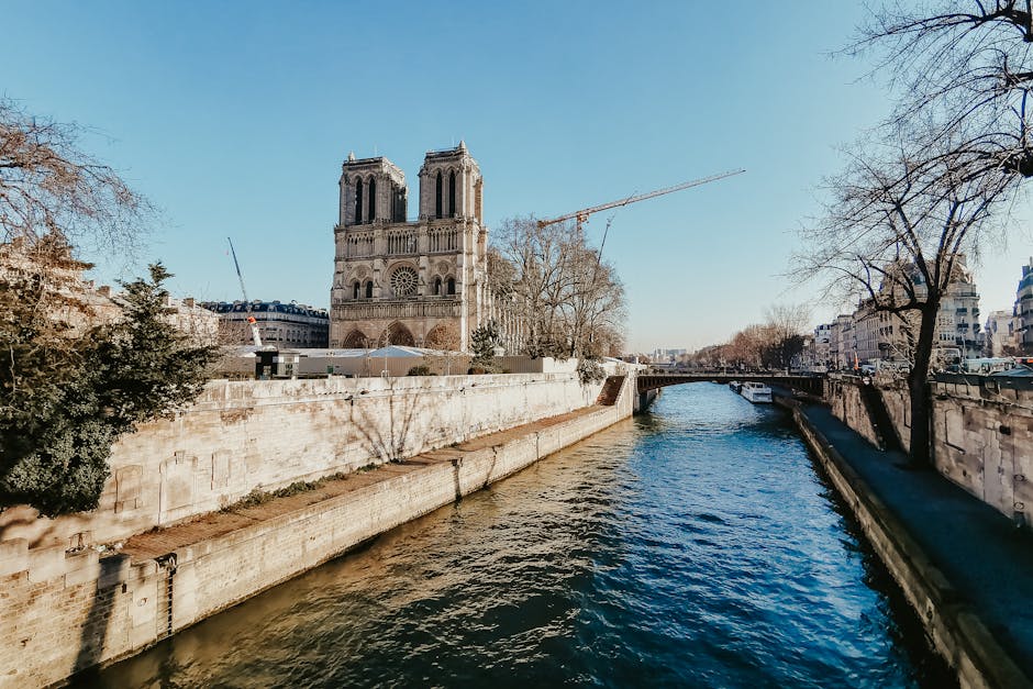 The Notre Dame Cathedral along a peaceful stretch of the Seine River in Paris