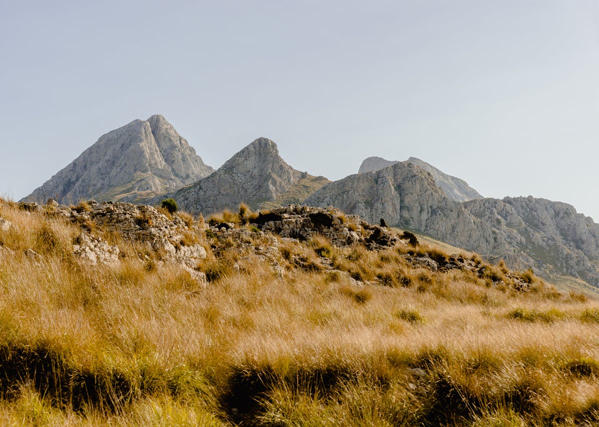 Rocky peaks and grassy slopes of Serra de Tramuntana mountain range in Mallorca