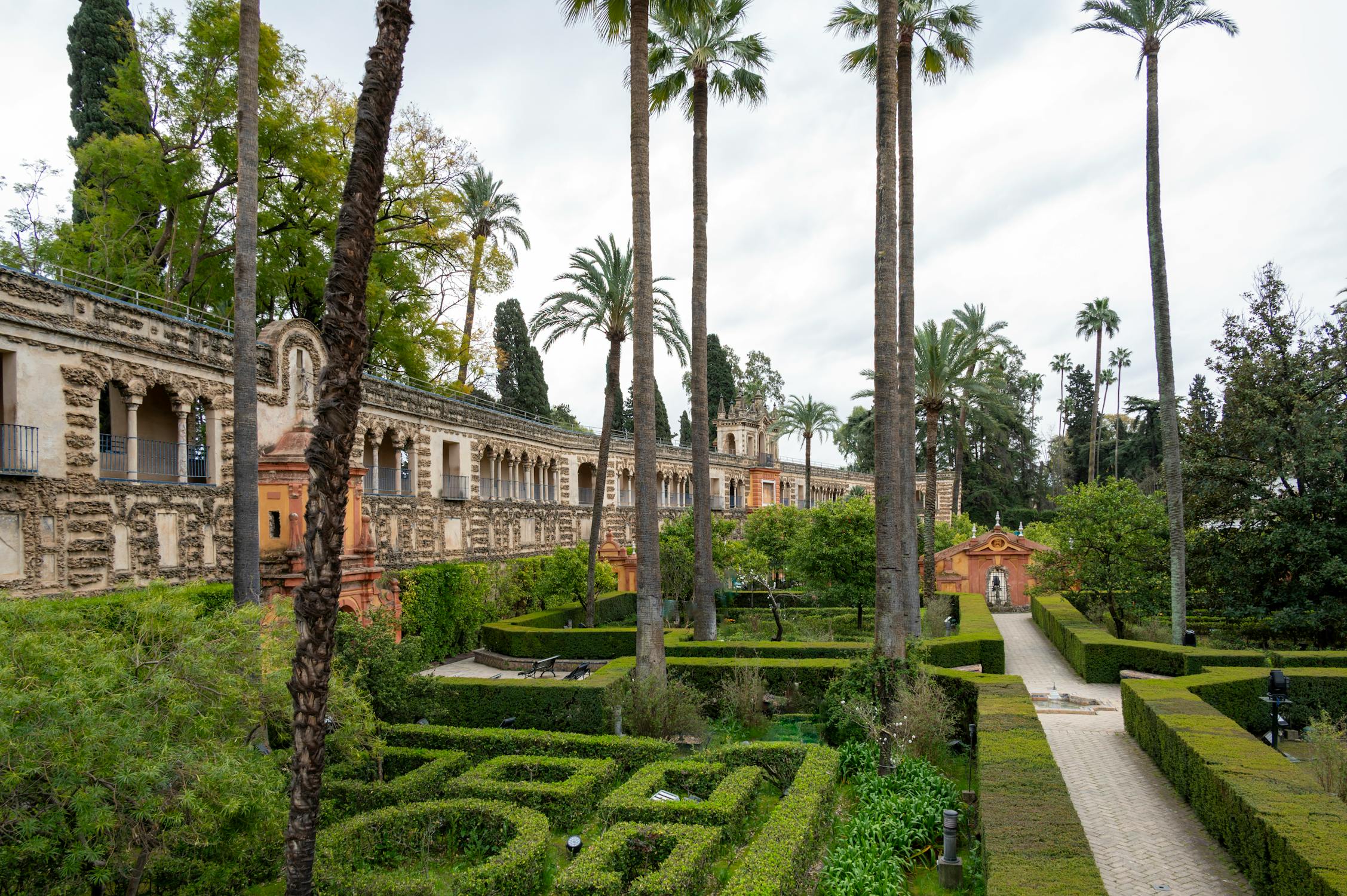 Lush royal gardens with ornate hedges and palm trees at the Alcazar of Seville