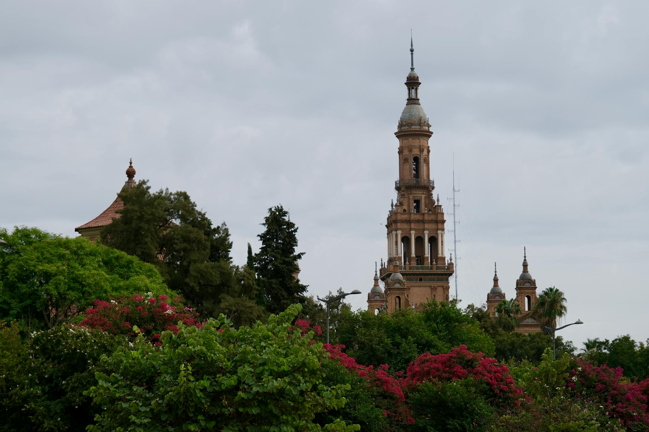 La Giralda Tower of Seville Cathedral surrounded by greenery and flowers