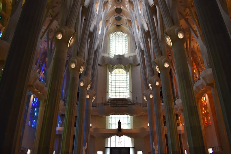 The soaring tree-trunk columns and vaulted ceiling inside Sagrada Familia with stained glass light