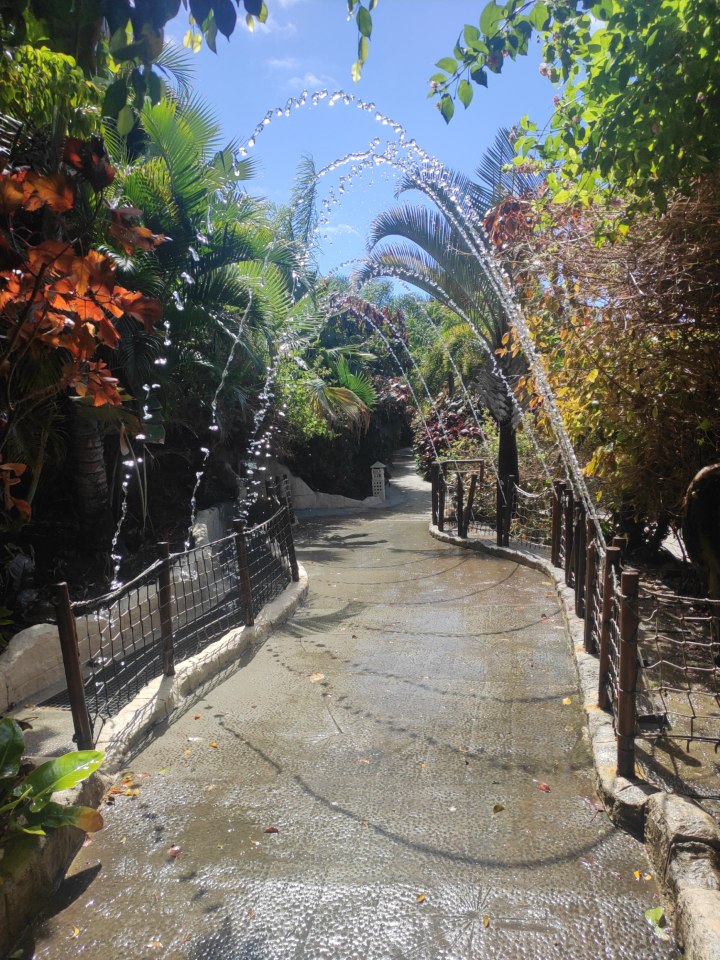 Water slides surrounded by tropical vegetation at Siam Park, Tenerife