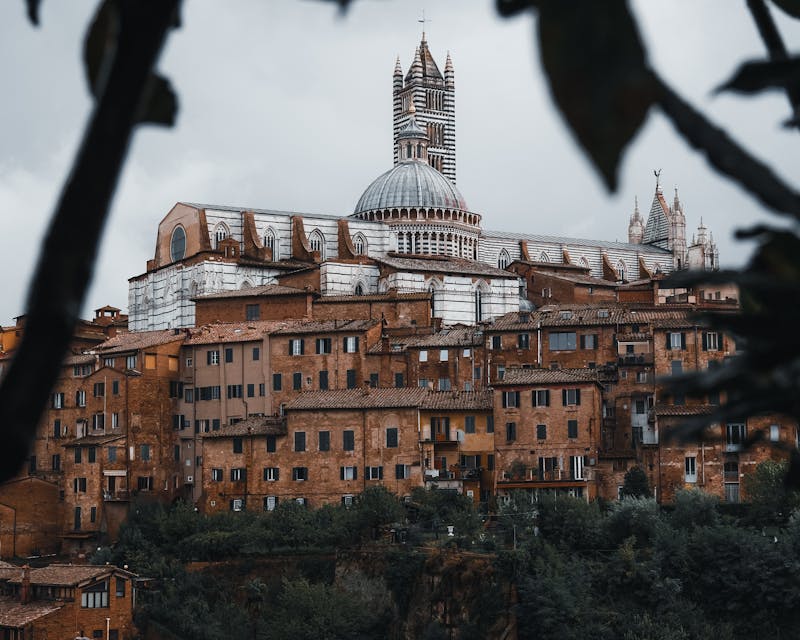 Siena Cathedral tower rising above surrounding medieval architecture