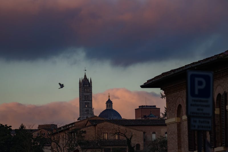 Twilight view of Siena skyline with the cathedral tower against a colorful sky