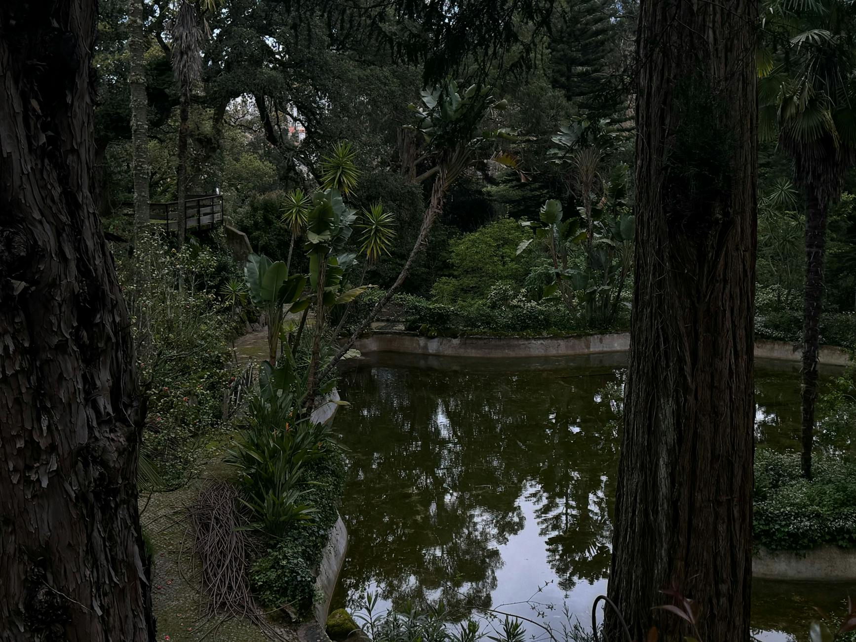 Serene garden pond surrounded by greenery in Sintra