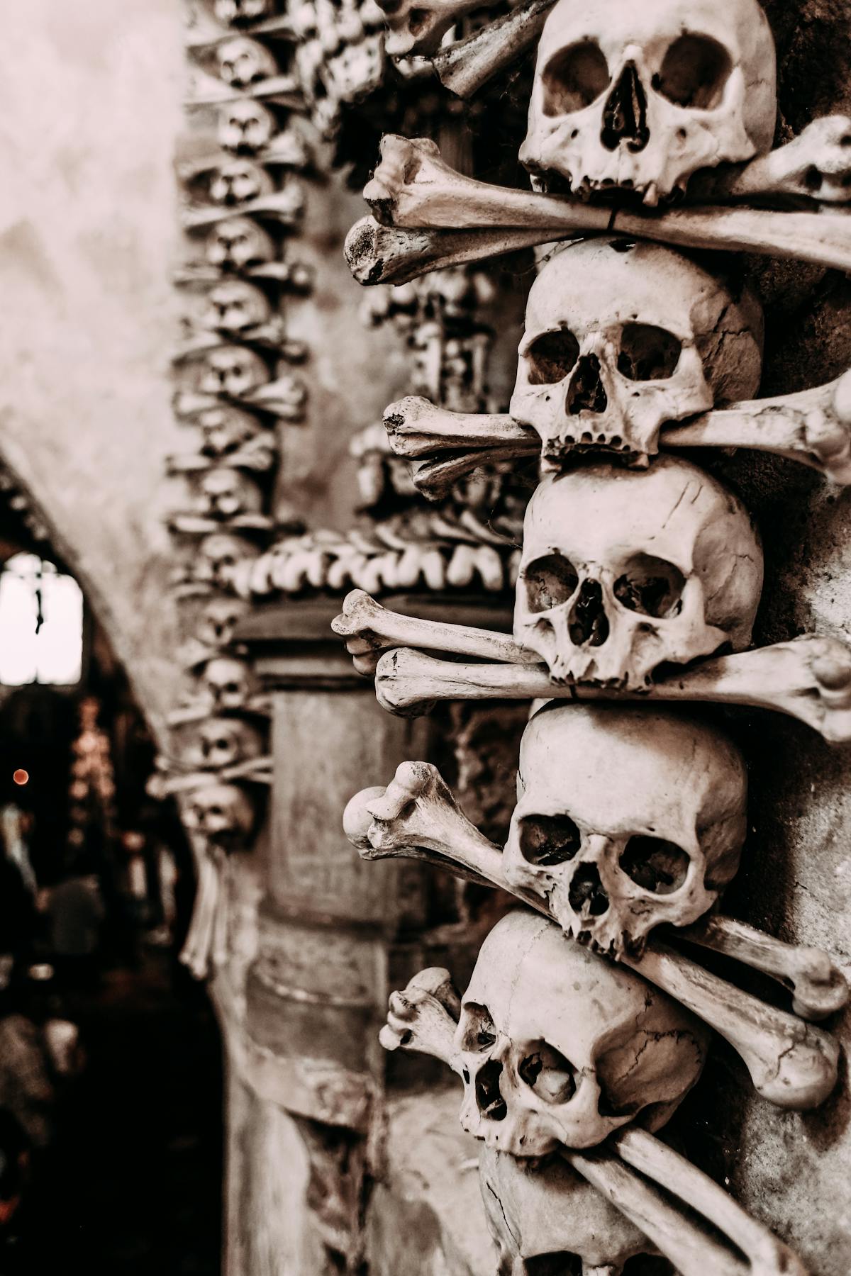 Close-up of skulls and bones in a Gothic atmospheric setting