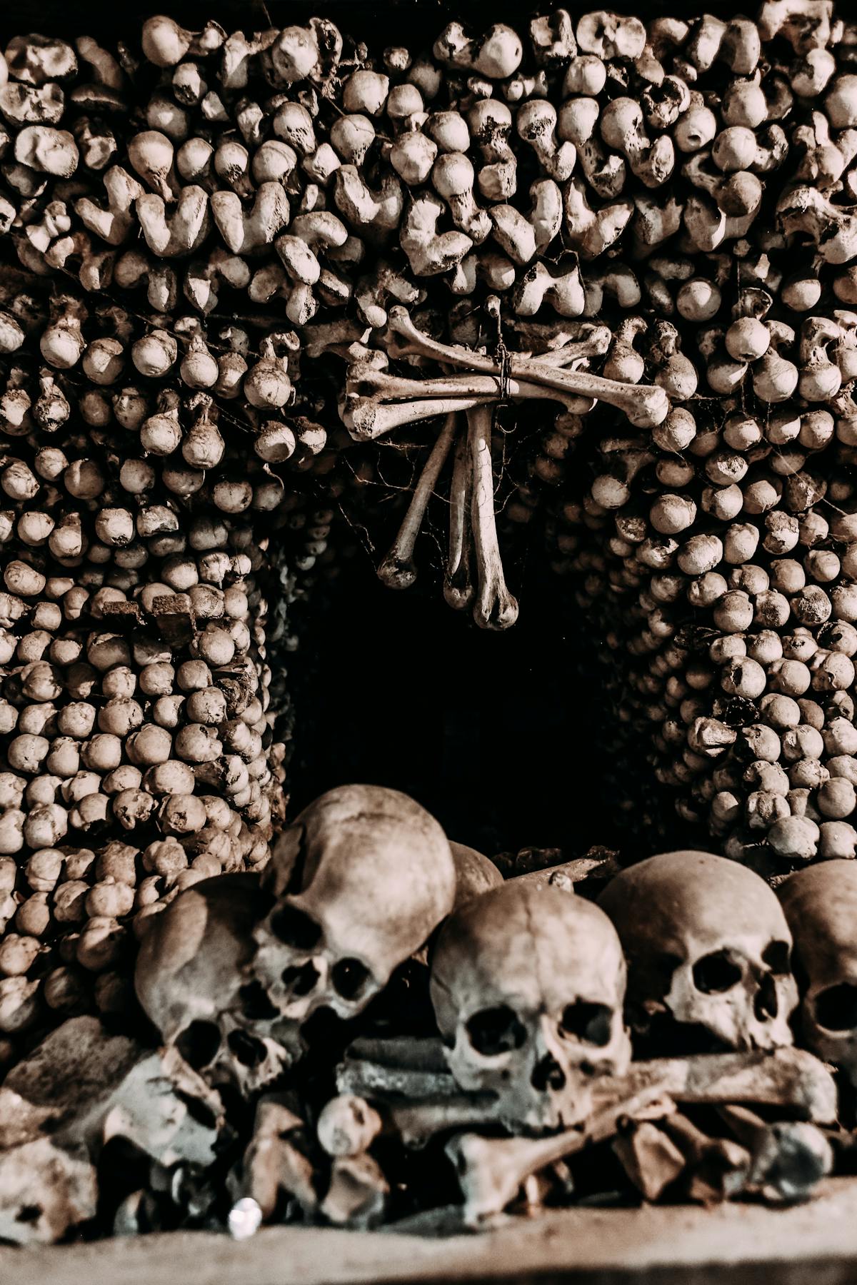 A display of skulls and bones forming a wall decoration in a dimly lit crypt