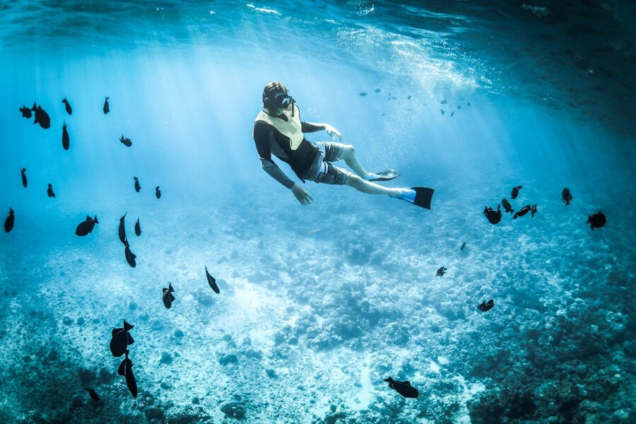 Person snorkeling among marine life in tropical turquoise sea