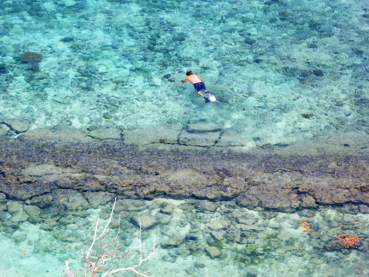 Overhead view of a snorkeler exploring clear turquoise waters