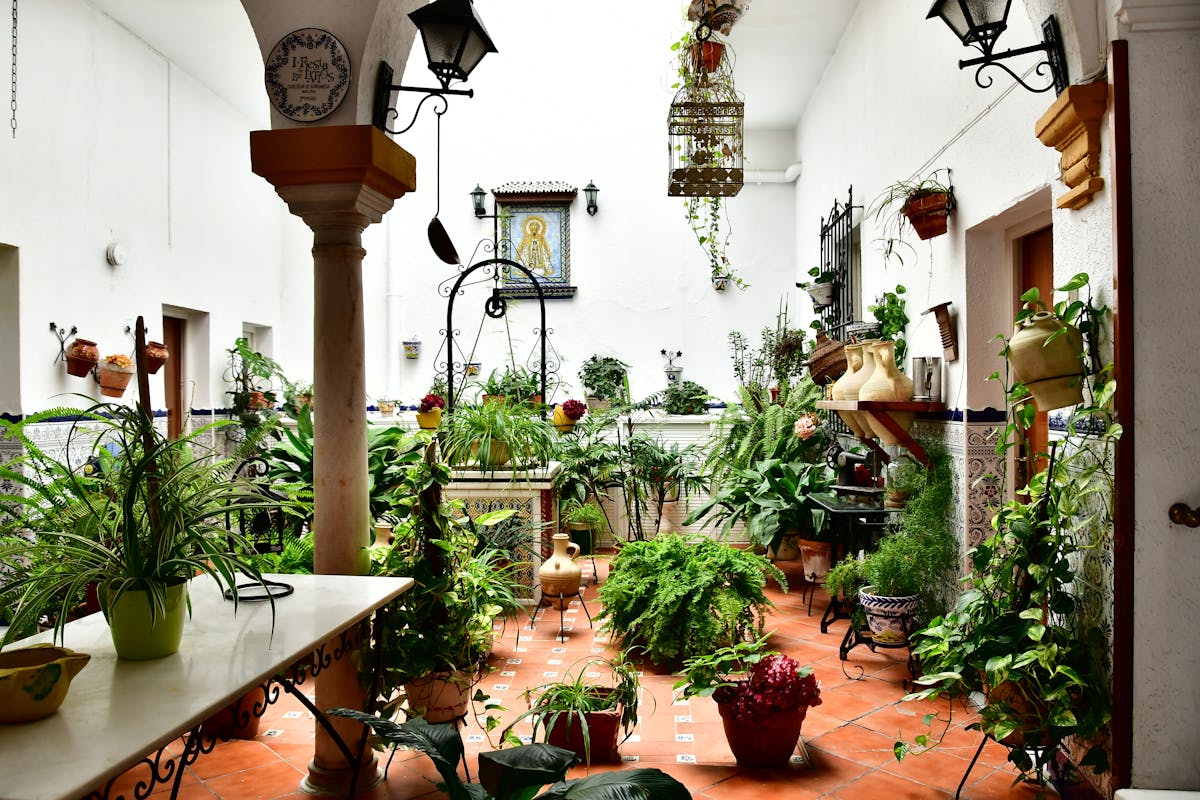 A Spanish courtyard filled with plants and traditional decorations