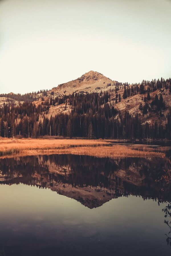 Lofoten Islands landscape with mountains reflected in calm waters at dawn