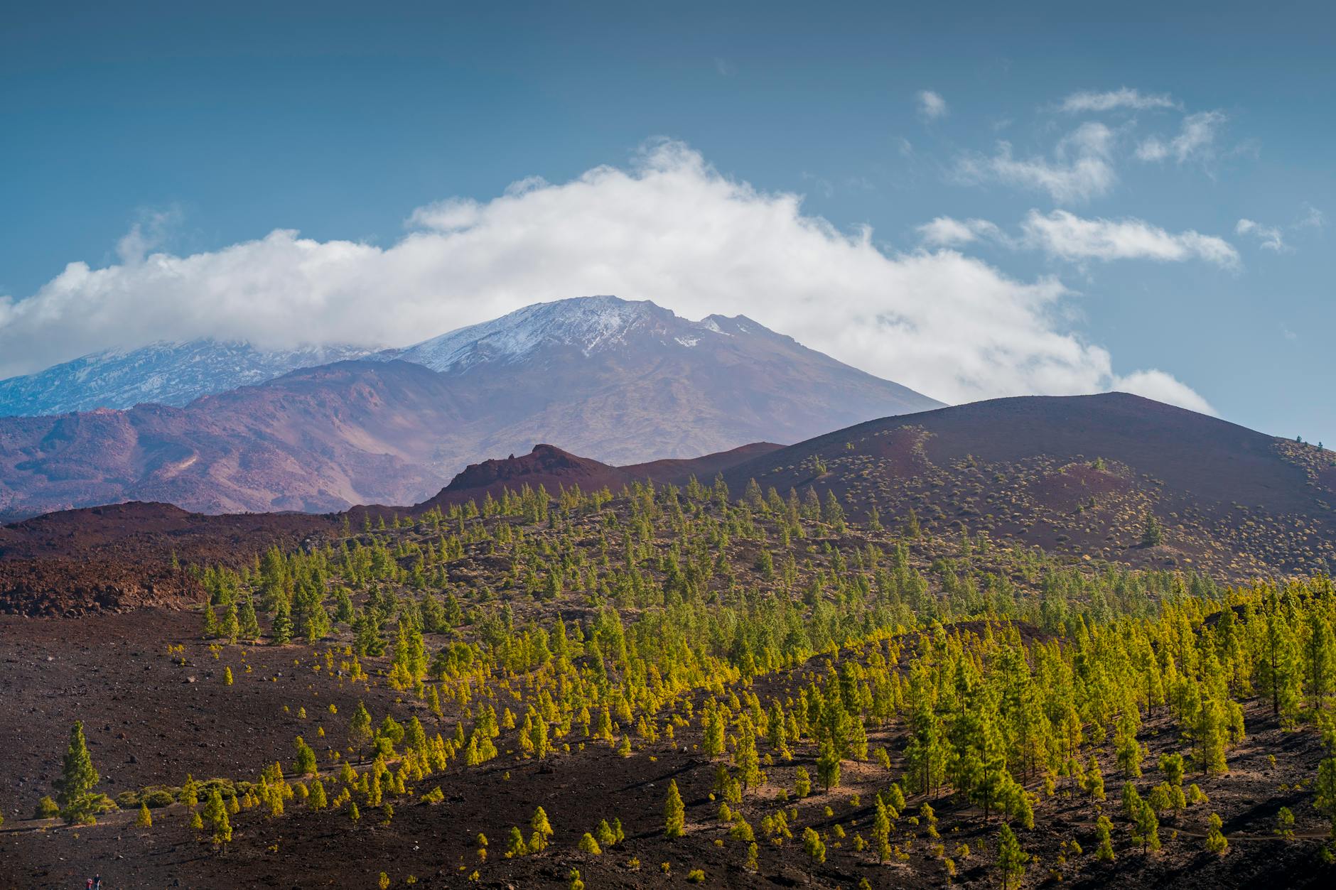 Panoramic view of the Teide caldera in Tenerife