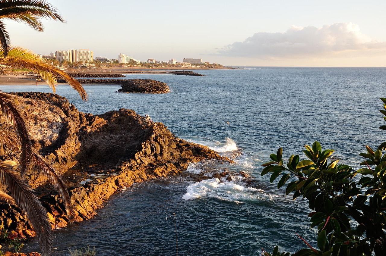 Tenerife coast with ocean surf and waves