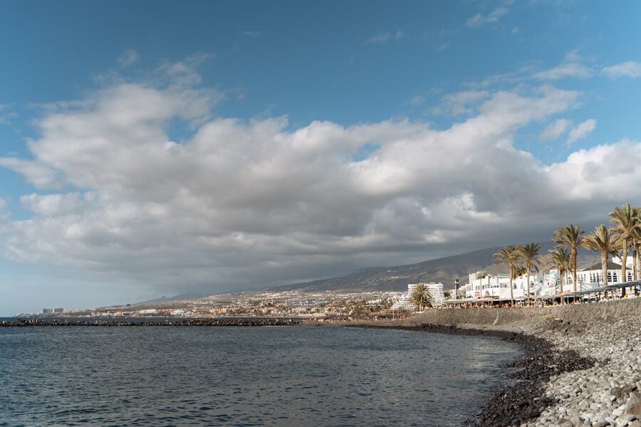 Panoramic view of Tenerife coastline with palm trees and blue Atlantic Ocean