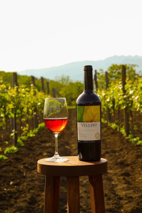 Transparent glass of alcoholic drink near bottle of wine on stool between vineyards in daylight