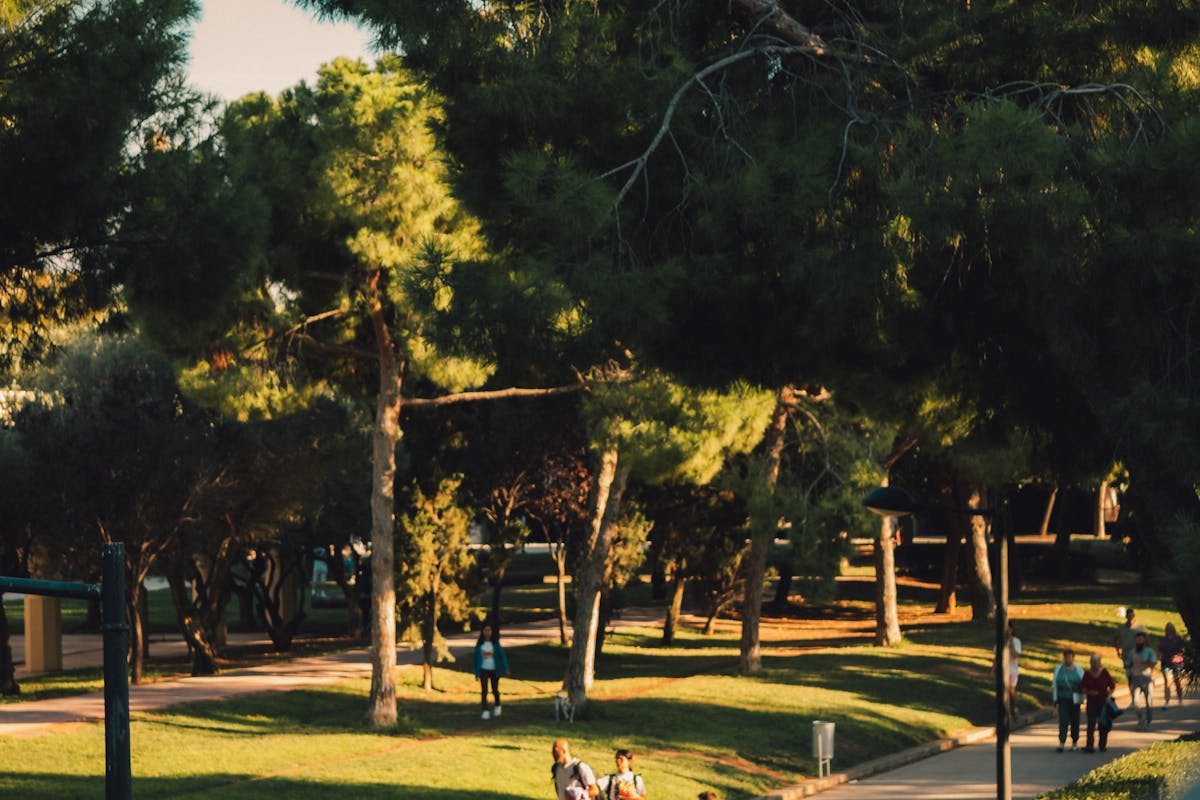 Families walking through green Turia Gardens park in Valencia on a sunny day
