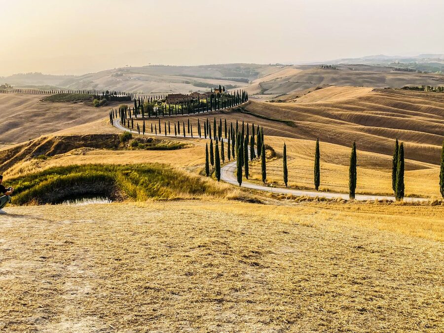 A scenic road winds through golden fields and cypress trees in Tuscany at sunset