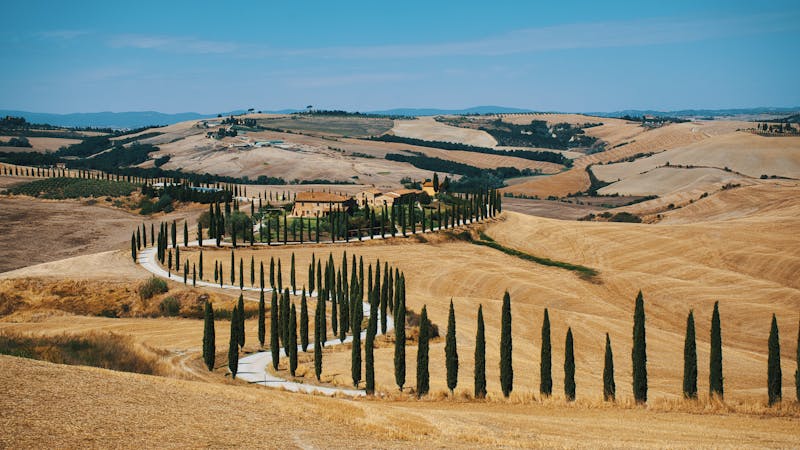 Tuscan countryside with a winding cypress-lined road leading to a rustic villa under blue skies