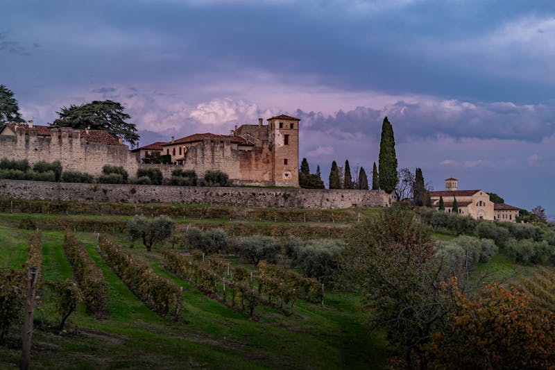 A medieval stone castle surrounded by vineyards on a Tuscan hillside at sunset