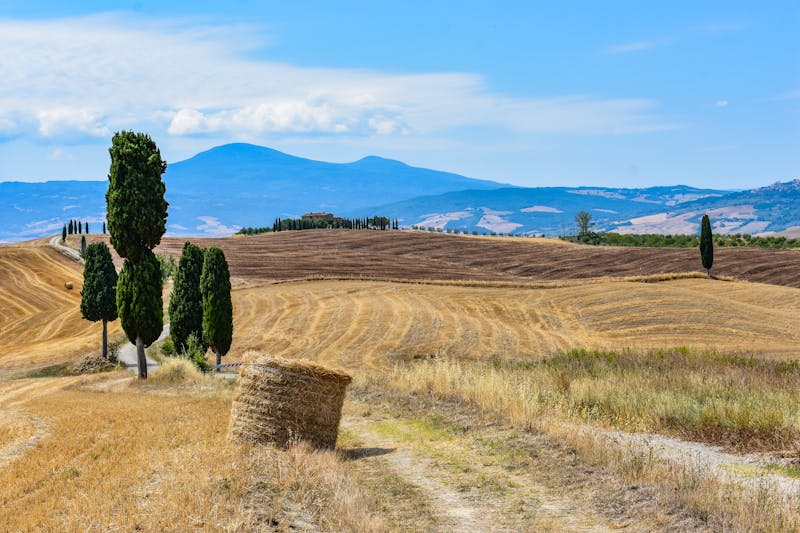 Idyllic Tuscany landscape with golden fields cypress trees and mountains under clear blue sky