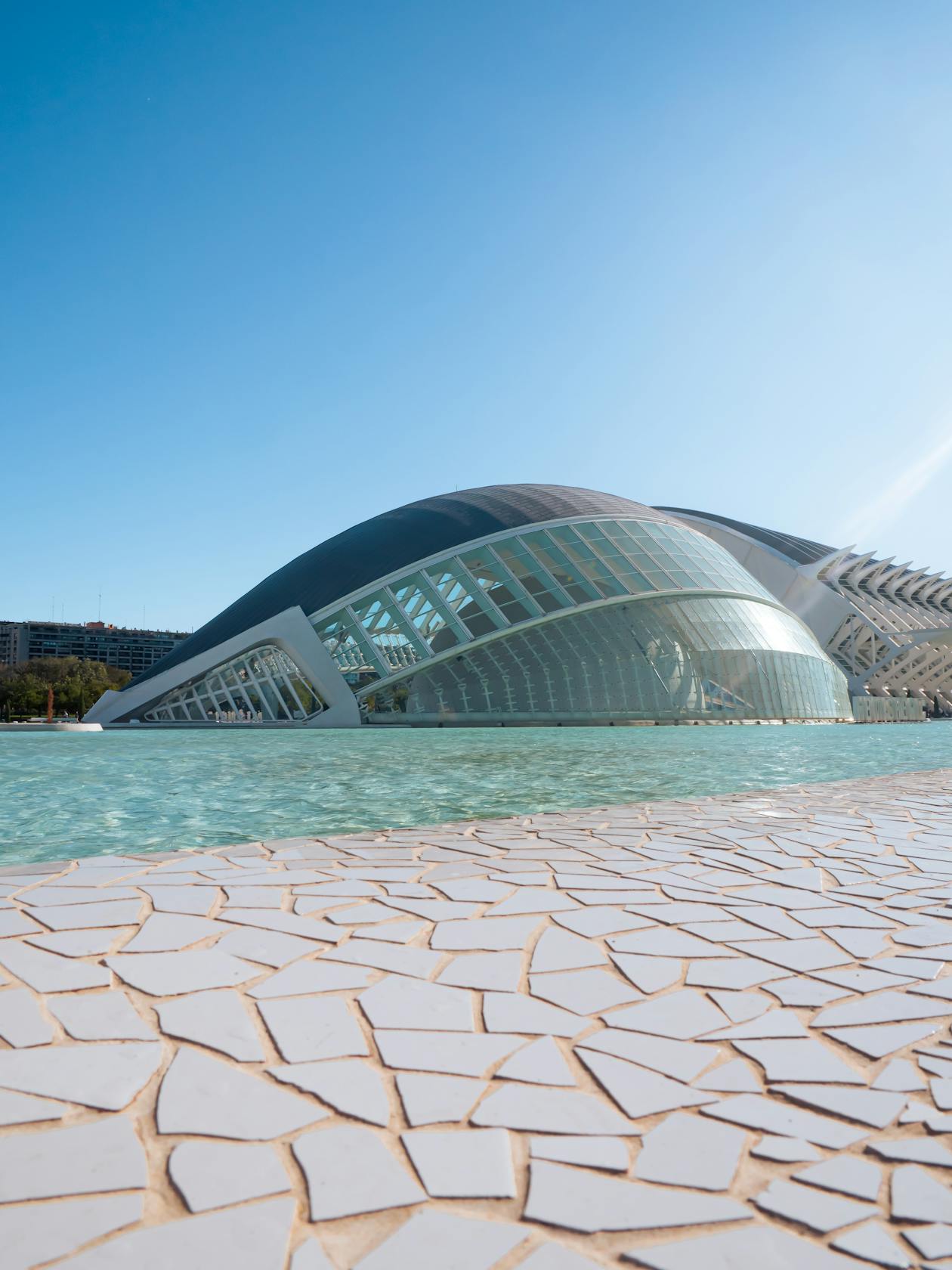 Wide view of the City of Arts and Sciences complex in Valencia showing multiple buildings