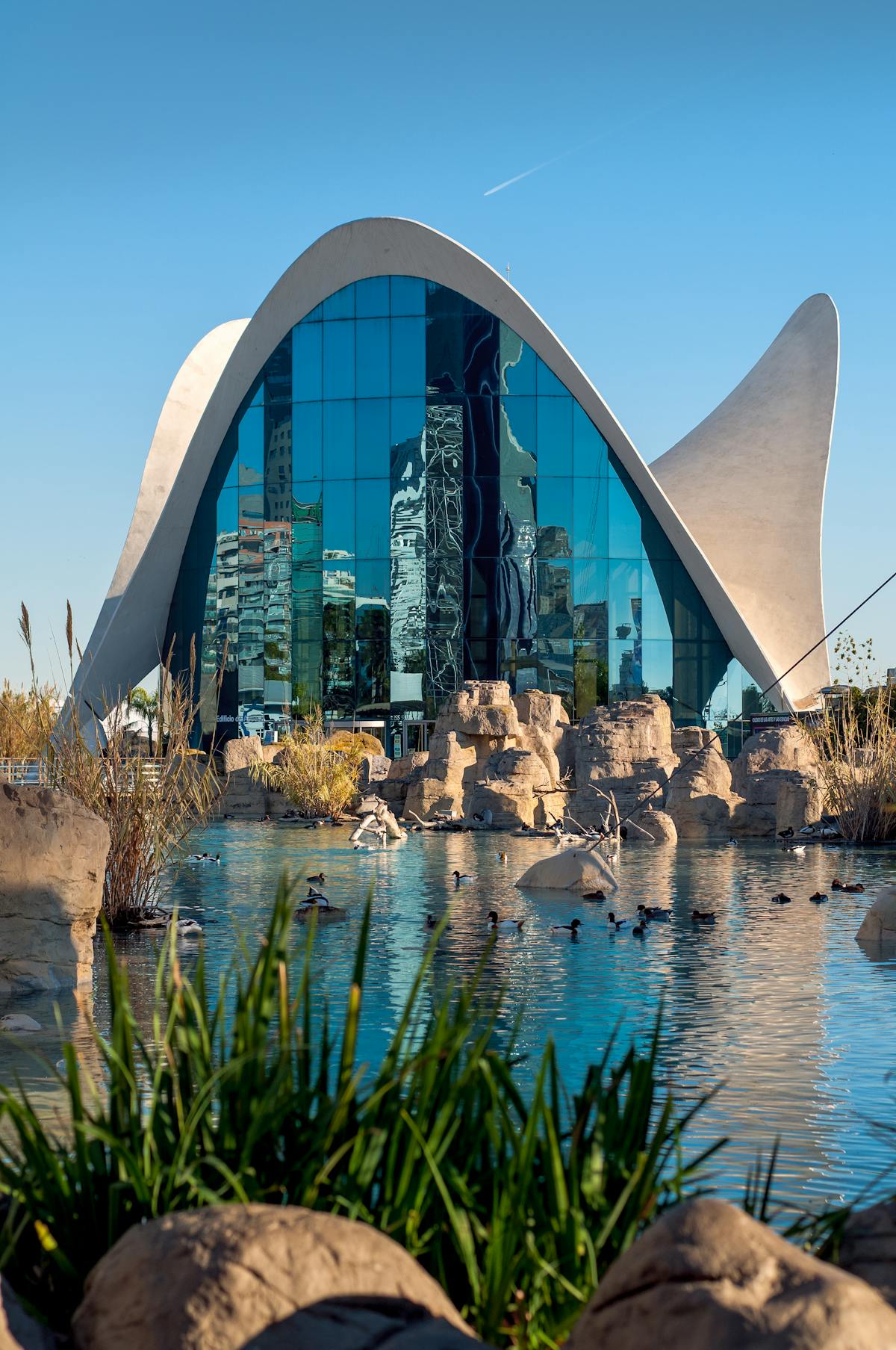 Valencia Oceanografic with its reflective facade and modern architecture