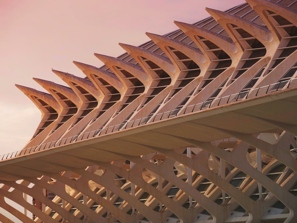 Valencia Science Museum at sunset with warm light on the architectural details