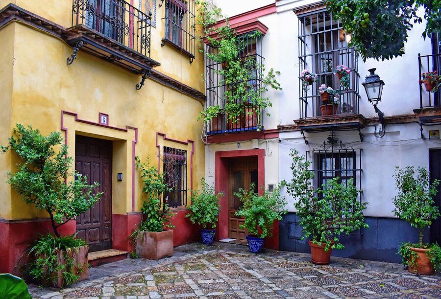 A colorful Andalusian courtyard with potted plants on whitewashed walls