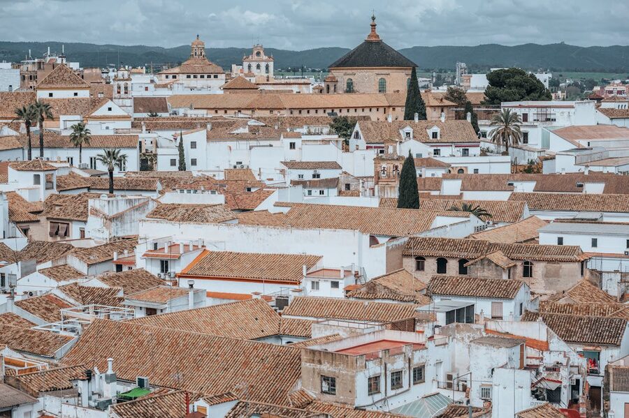 An aerial view of Cordoba showing traditional white rooftops and the Mezquita cathedral tower