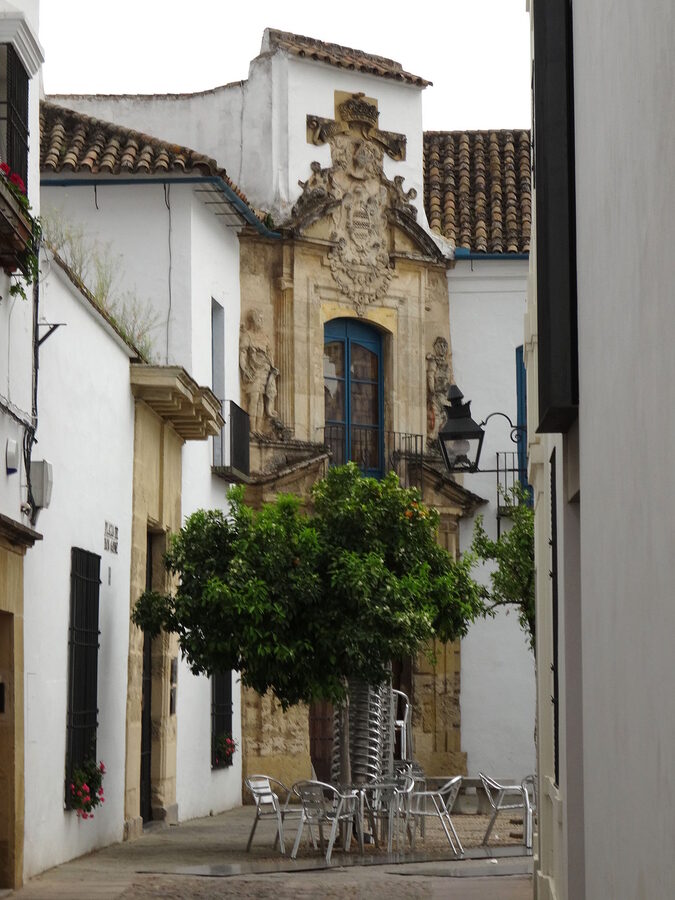Architectural detail of a Viana Palace patio showing stone columns and climbing greenery