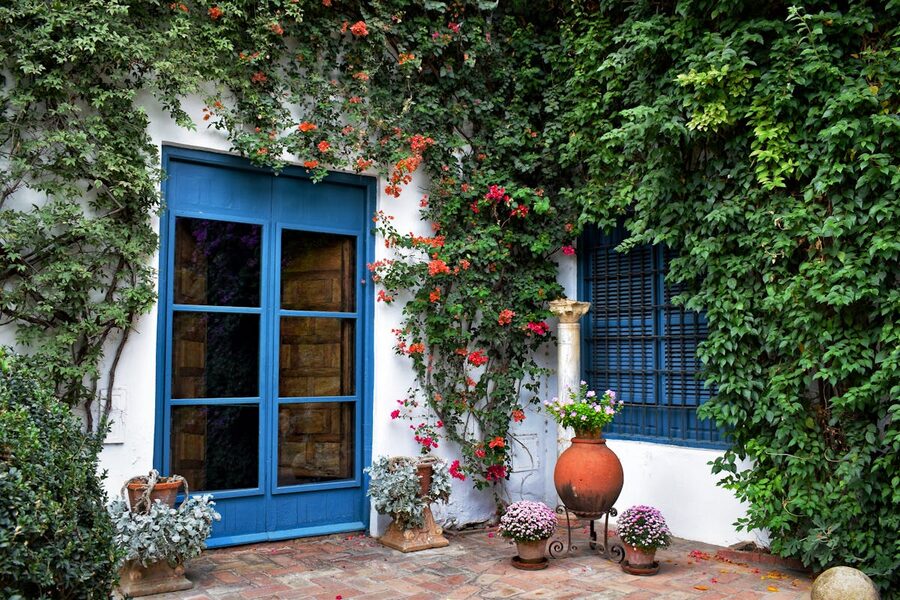 A Spanish patio with a blue door surrounded by ivy and climbing plants