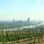 Vienna skyline with Danube River viewed from vineyards