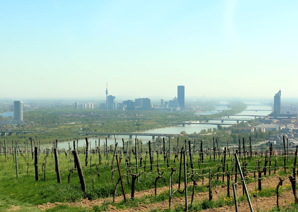 Vienna skyline with Danube River viewed from vineyards