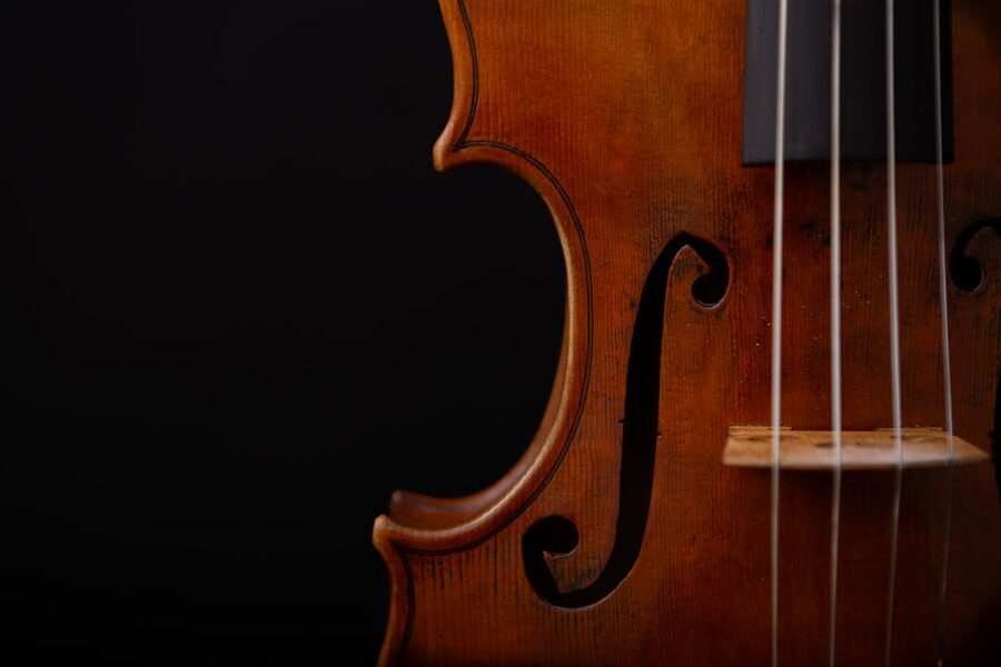 Detailed closeup of a violin showing the f-hole and strings