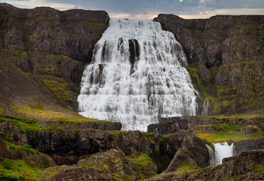 Iceland sea cliffs seabirds