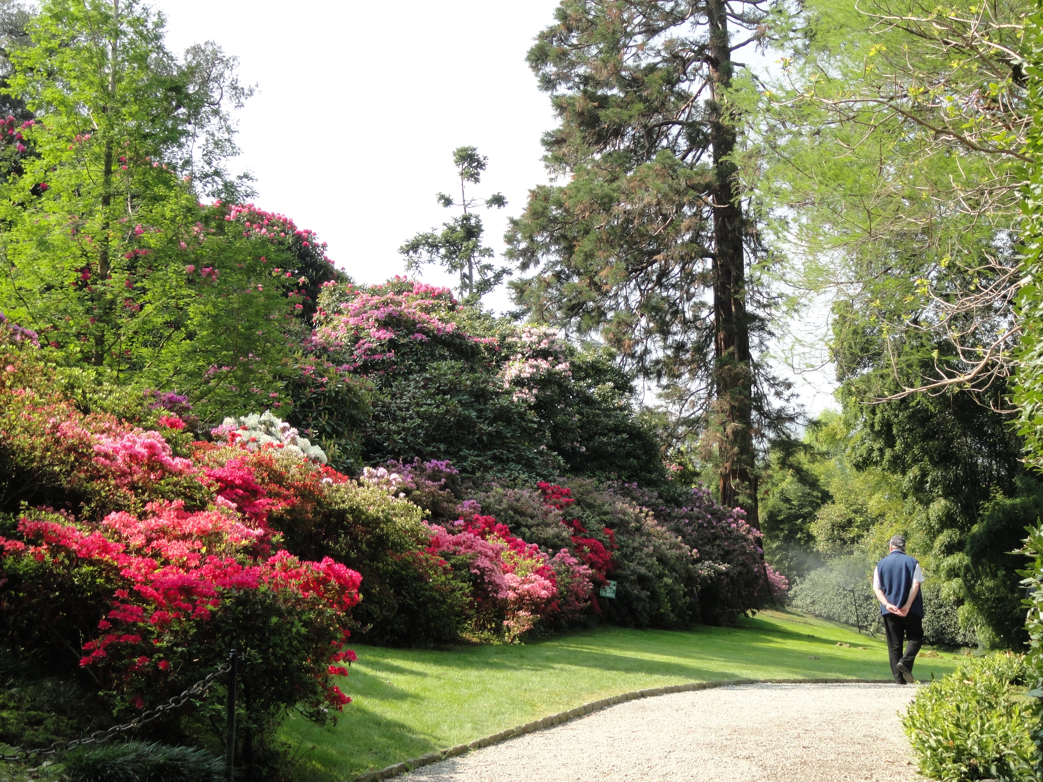 The 16th-century palace and surrounding gardens on Isola Madre with Lake Maggiore views