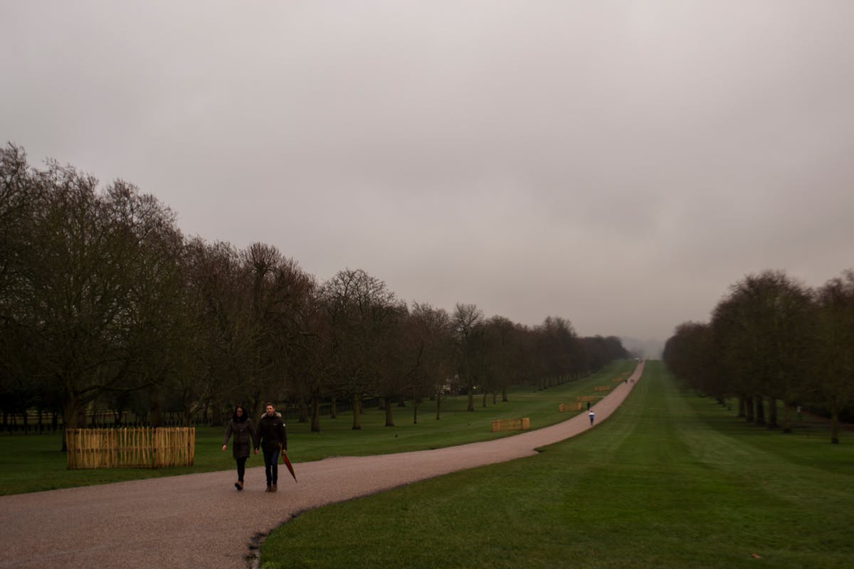 The Long Walk stretching through Windsor Great Park on an overcast day
