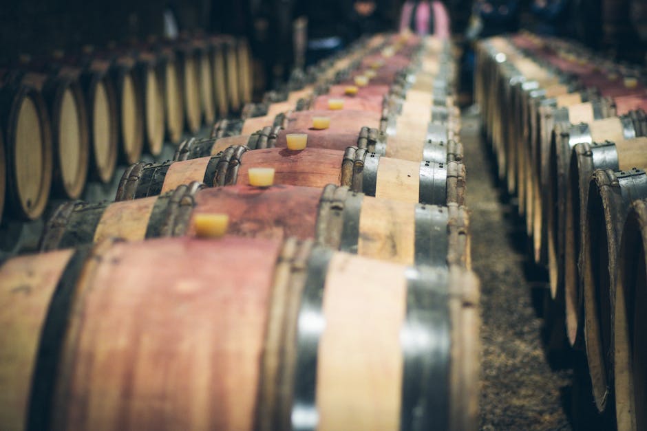 Wine barrels aging in a dimly lit winery cellar