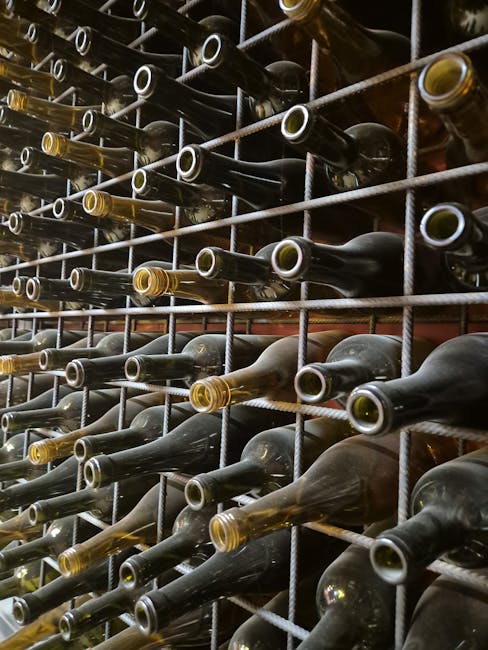 Wine bottles neatly arranged on a cellar storage rack