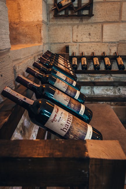 Wine bottles lined up in a rustic cellar display